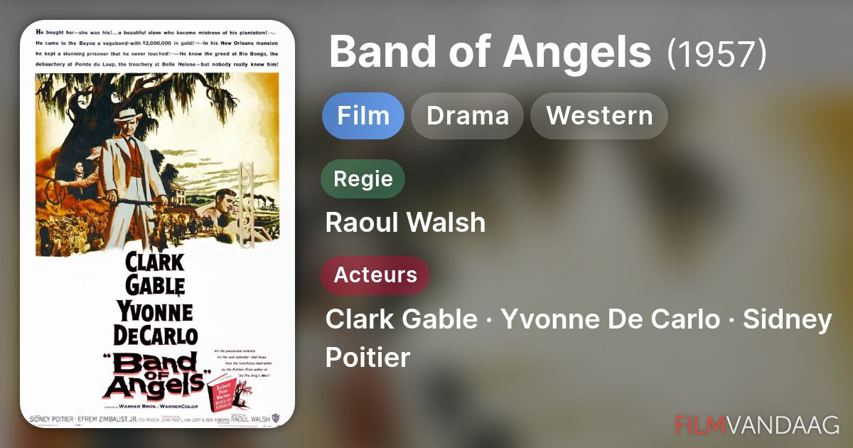 Band of Angels (film, 1957) - FilmVandaag.nl