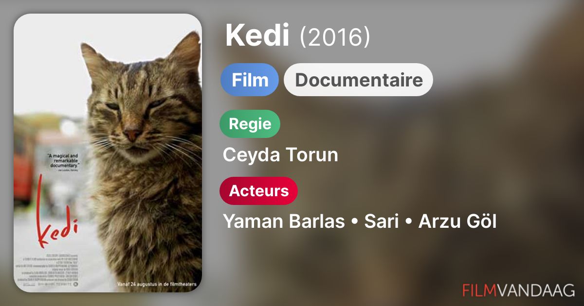 Kedi (film, 2016) - FilmVandaag.nl