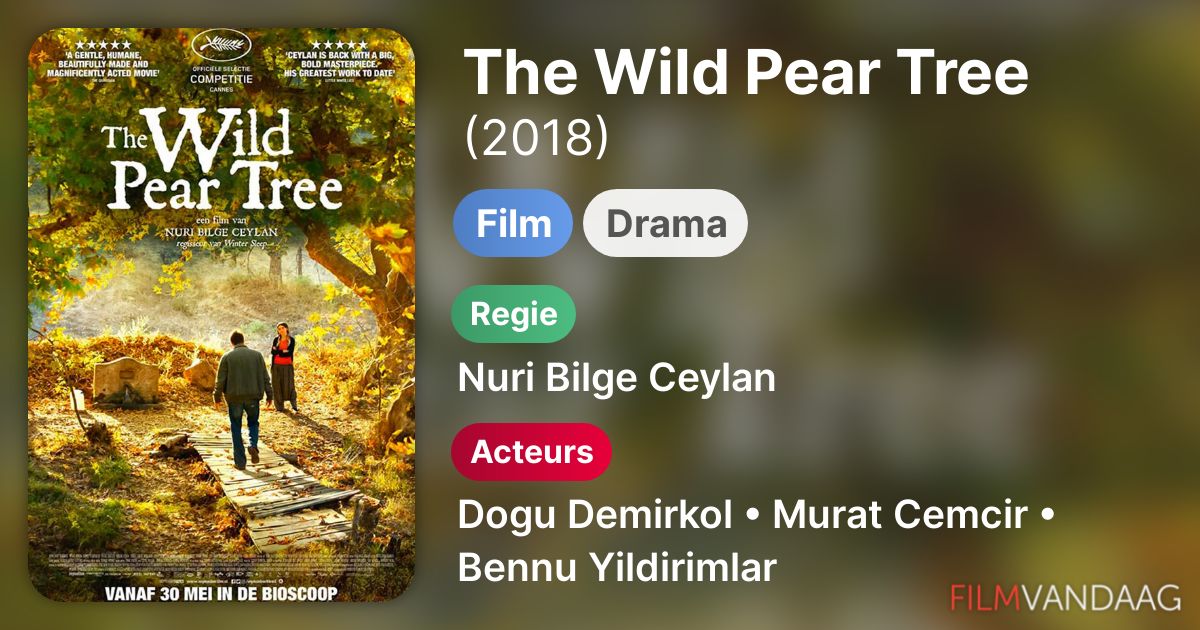 The Wild Pear Tree (film, 2018) - FilmVandaag.nl