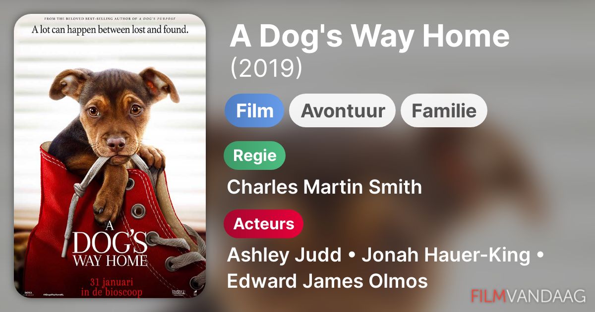 A Dog's Way Home (film, 2019) - FilmVandaag.nl
