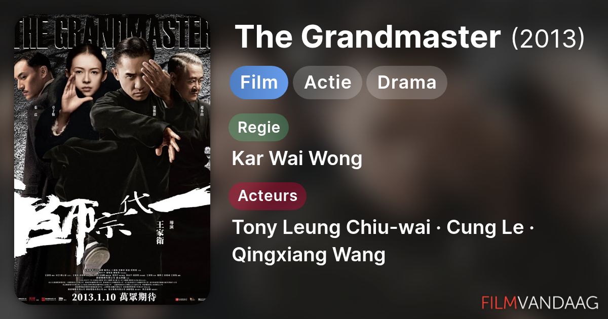 The Grandmaster (film, 2013) - FilmVandaag.nl