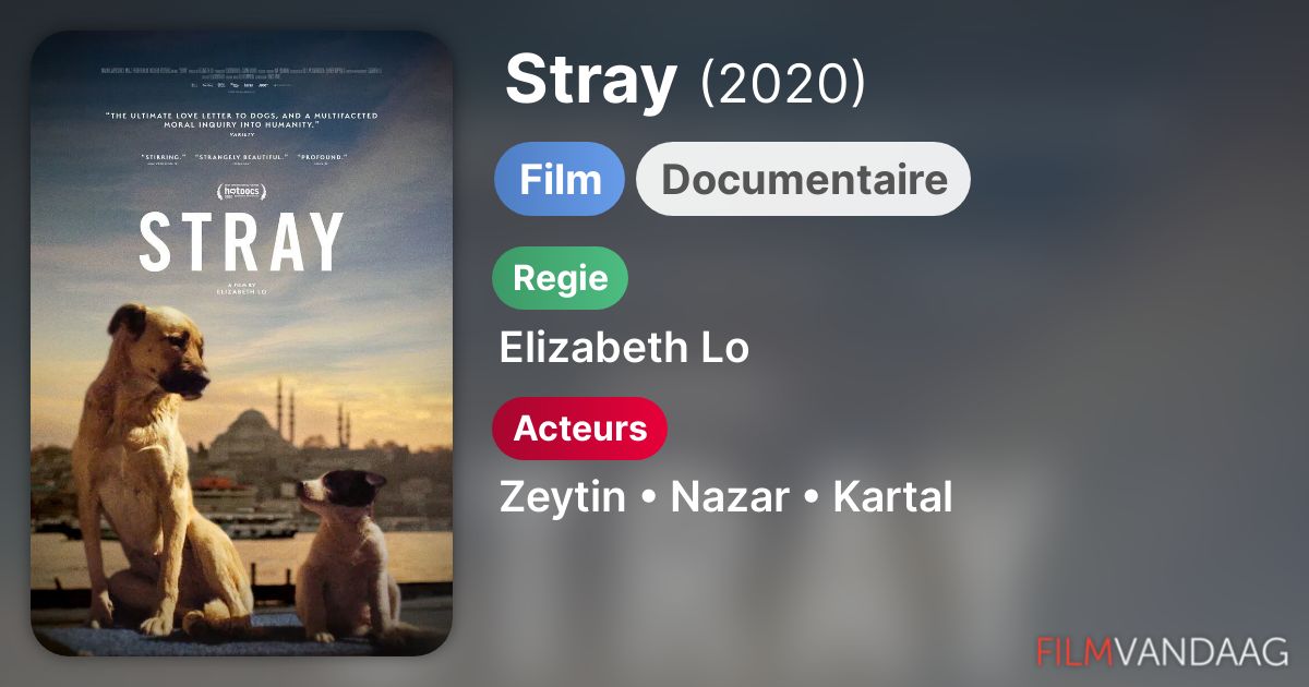 Stray (film, 2020) - FilmVandaag.nl