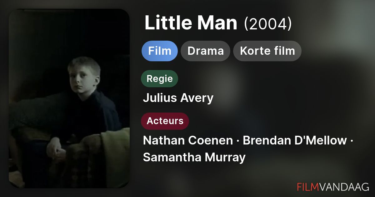 Little Man (film, 2004) - FilmVandaag.nl