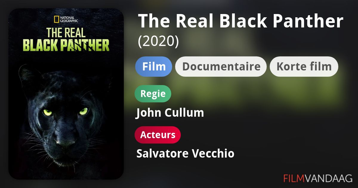 The Real Black Panther (film, 2020) - FilmVandaag.nl