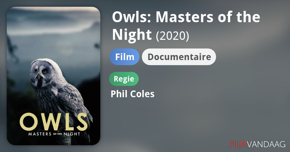 Owls: Masters of the Night (film, 2020) - FilmVandaag.nl