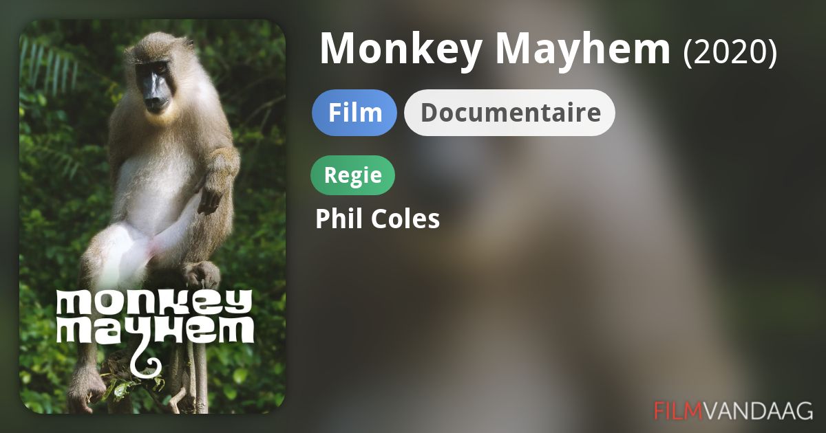 Monkey Mayhem (film, 2020) - FilmVandaag.nl