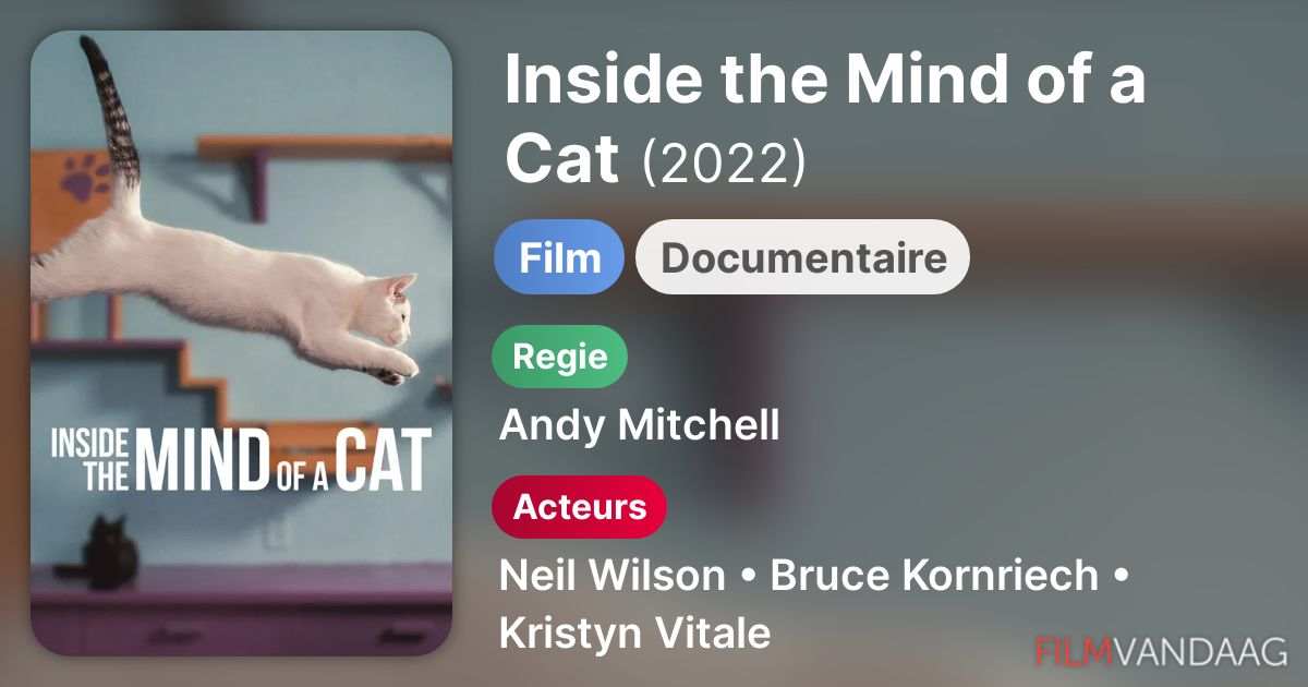 Inside the Mind of a Cat (film, 2022) - FilmVandaag.nl