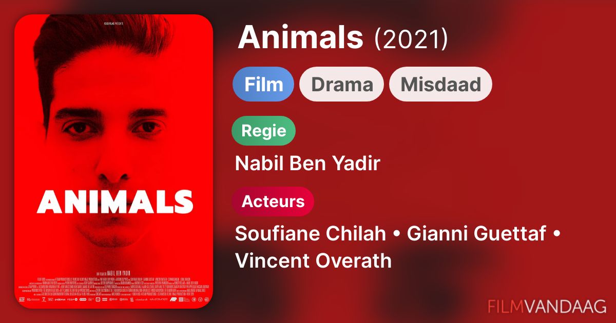 Animals (film, 2021) - FilmVandaag.nl
