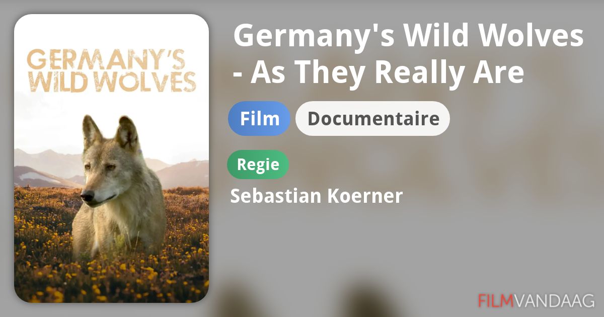 Germany's Wild Wolves - As They Really Are (film, 2019) - FilmVandaag.nl