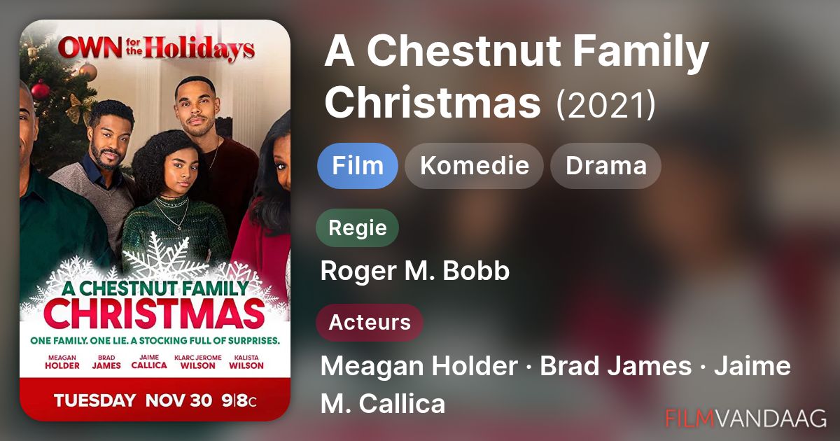 A Chestnut Family Christmas (film, 2021) - FilmVandaag.nl