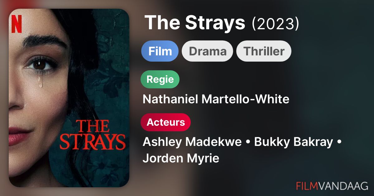 The Strays (film, 2023) - FilmVandaag.nl