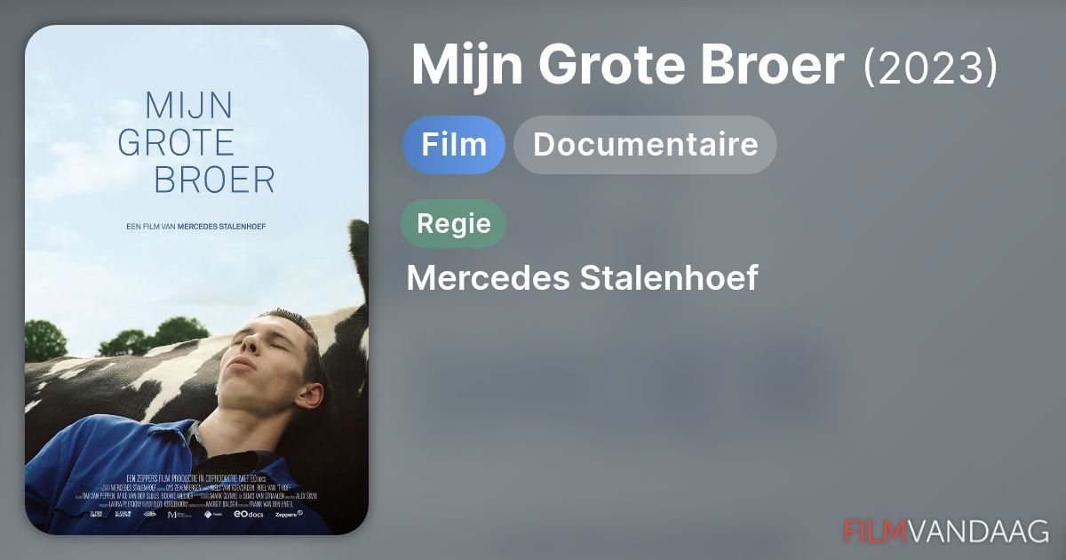 Mijn Grote Broer (film, 2023) - FilmVandaag.nl