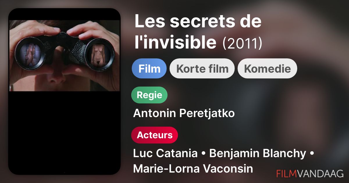 Les secrets de l'invisible (film, 2011) - FilmVandaag.nl
