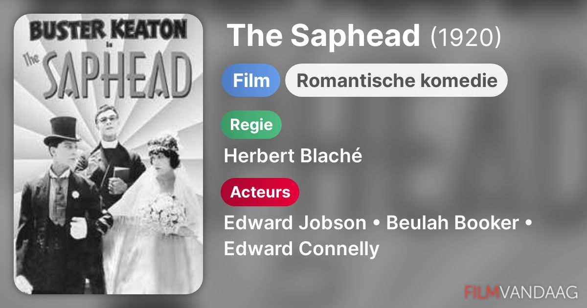 The Saphead (film, 1920) - FilmVandaag.nl