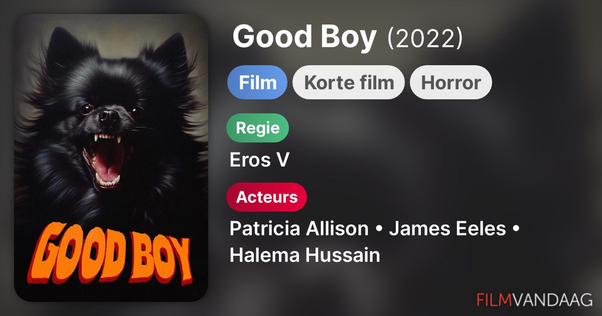 Good Boy (film, 2022) - FilmVandaag.nl