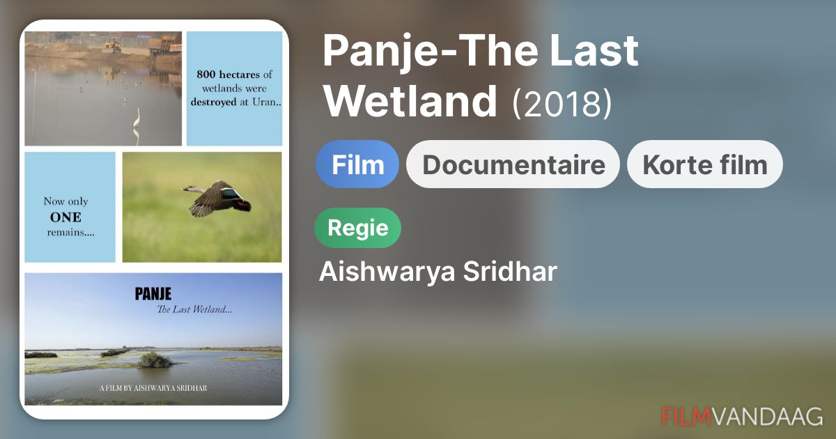 Panje-The Last Wetland (film, 2018) - FilmVandaag.nl