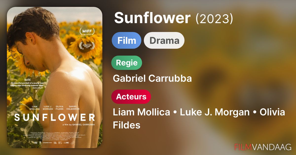 Sunflower (film, 2023) - FilmVandaag.nl