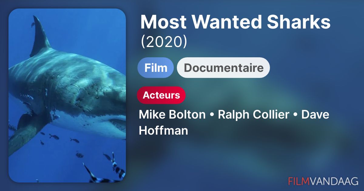 Most Wanted Sharks (film, 2020) - FilmVandaag.nl