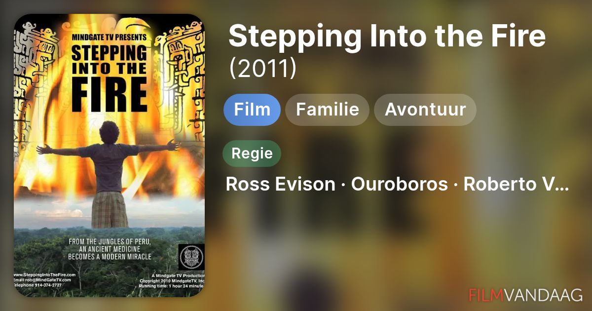Stepping Into the Fire (film, 2011) - FilmVandaag.nl