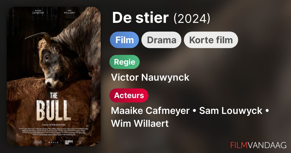 De stier (film, 2024) - FilmVandaag.nl