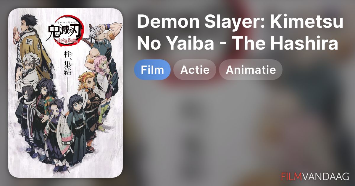 Demon Slayer The Hashira Meeting Arc