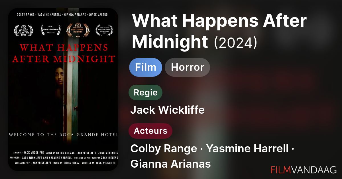 What Happens After Midnight (film, 2024) - FilmVandaag.nl