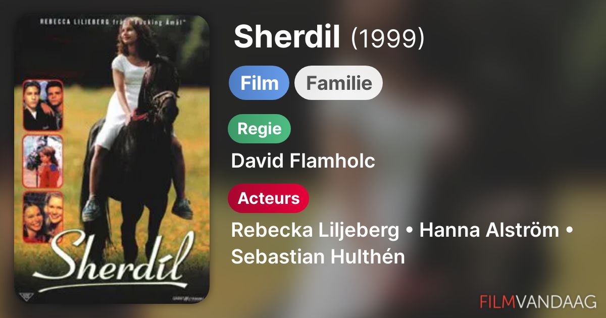 Sherdil (film, 1999) - FilmVandaag.nl