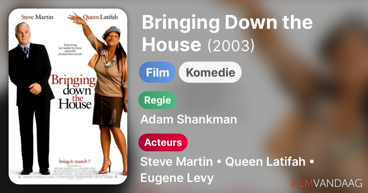 Bringing Down the House (film, 2003) - FilmVandaag.nl