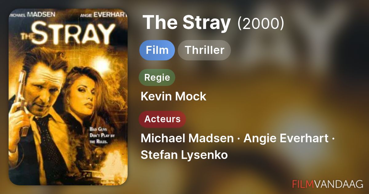 The Stray (film, 2000) kopen op dvd of blu-ray - FilmVandaag.nl