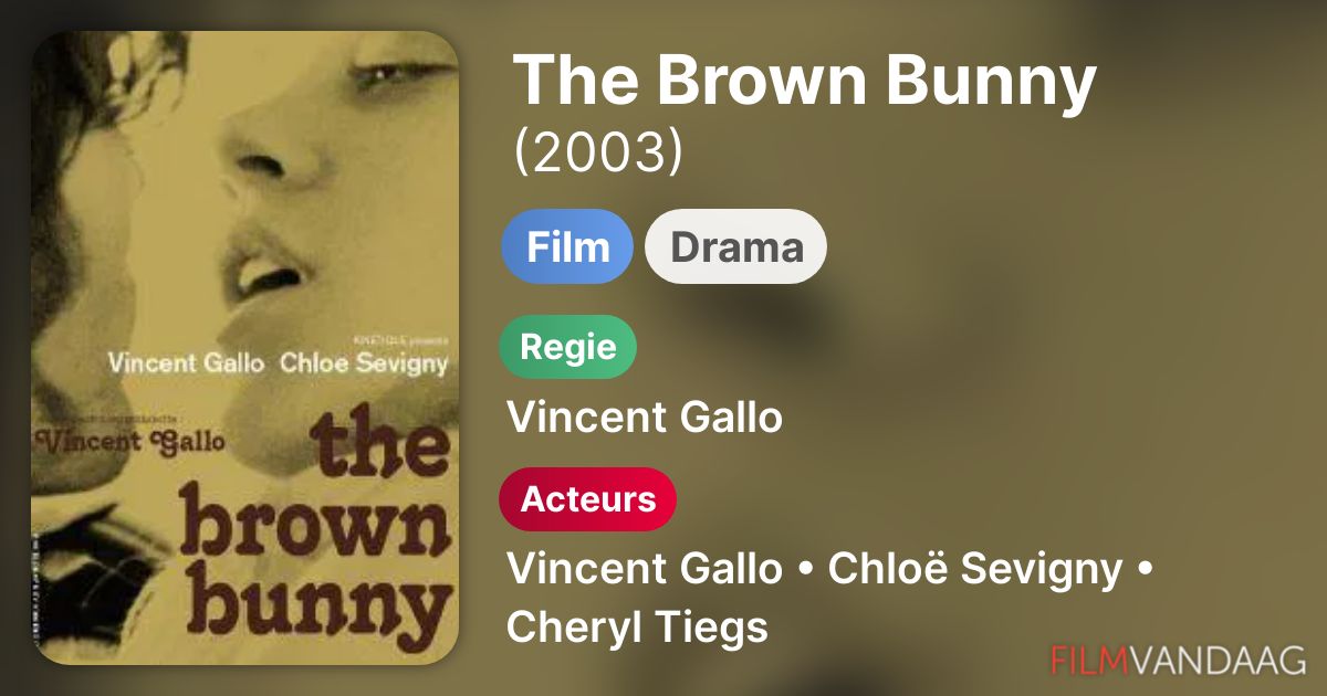 The Brown Bunny (film, 2003) - FilmVandaag.nl
