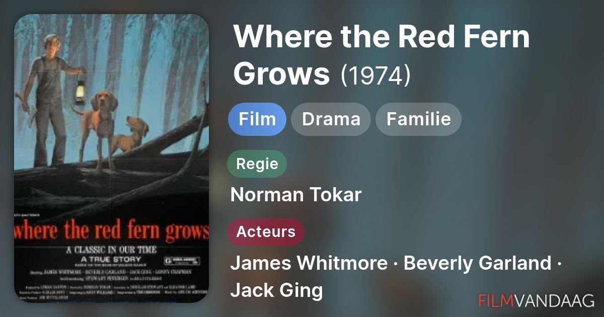 Where the Red Fern Grows (film, 1974) - FilmVandaag.nl