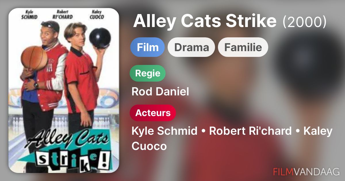 Alley Cats Strike