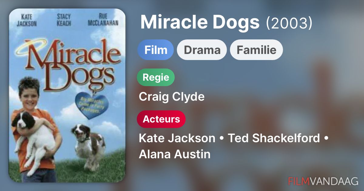 Miracle Dogs (film, 2003) - FilmVandaag.nl