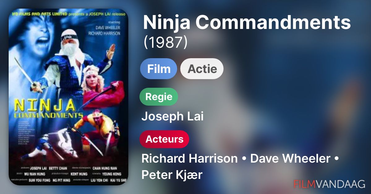 Ninja Commandments (film, 1987) - FilmVandaag.nl