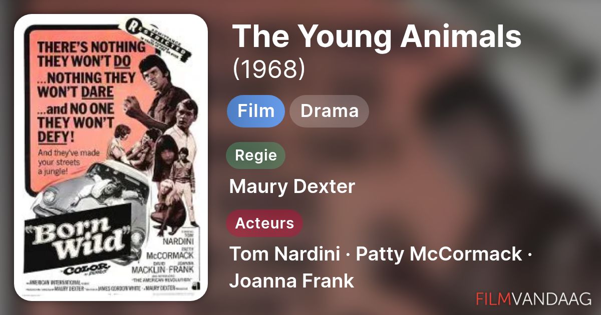 The Young Animals (film, 1968) kopen op dvd of blu-ray - FilmVandaag.nl