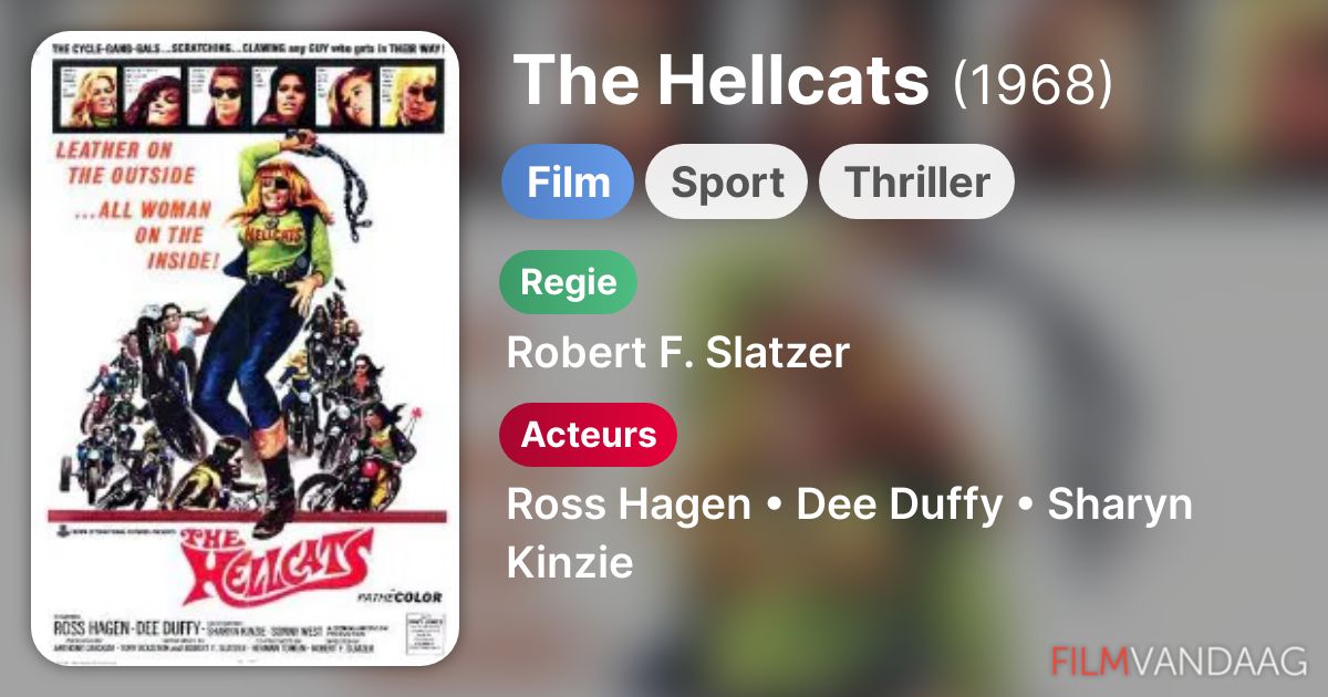 The Hellcats (film, 1967) - FilmVandaag.nl
