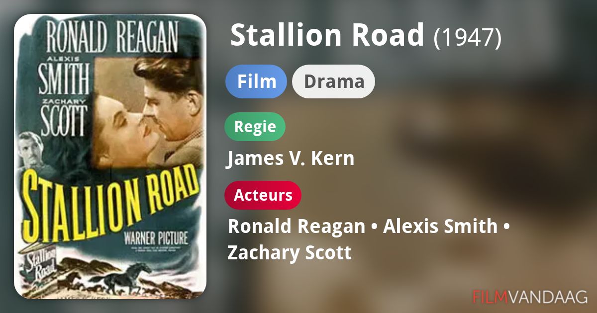 Stallion Road (film, 1947) - FilmVandaag.nl