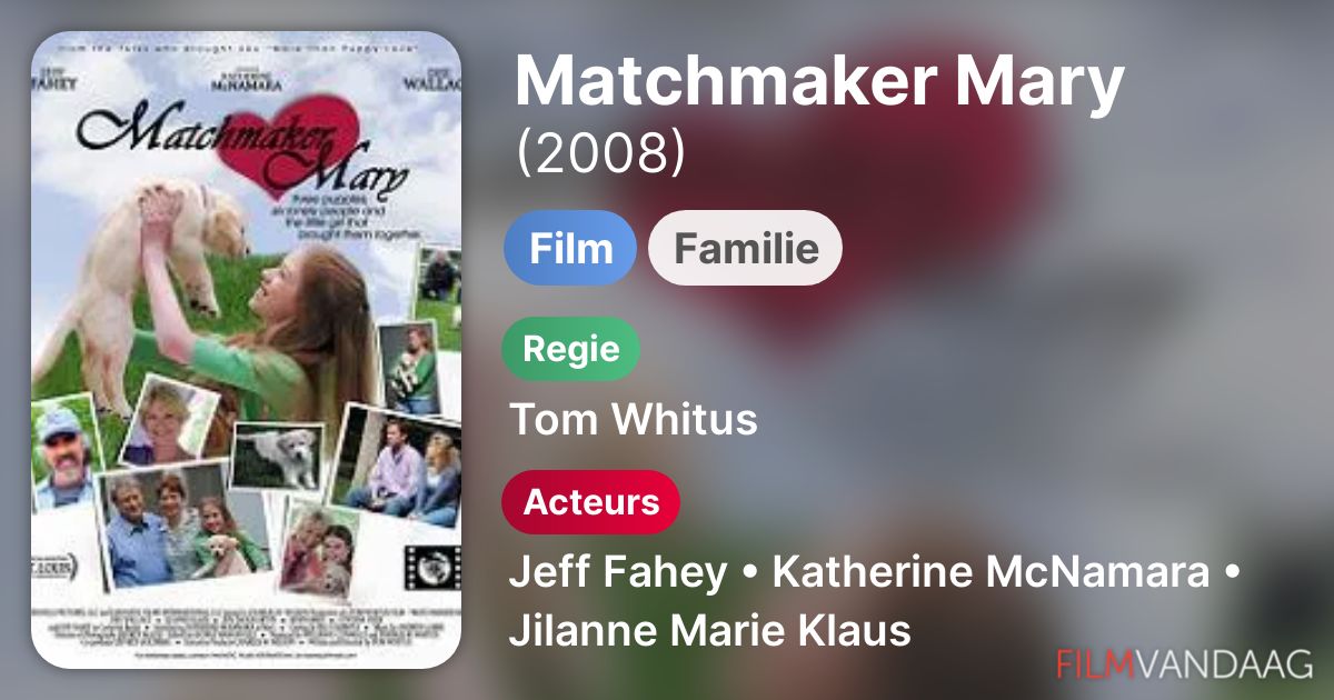 Matchmaker Mary (film, 2008) - FilmVandaag.nl