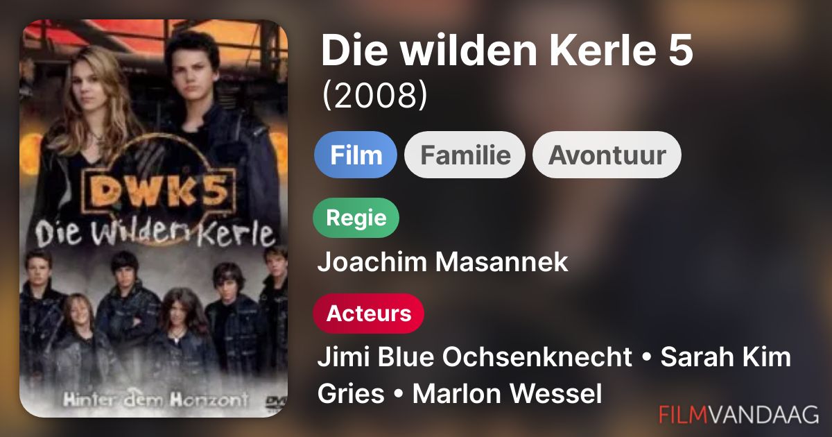 Die wilden Kerle 5 (film, 2008) - FilmVandaag.nl