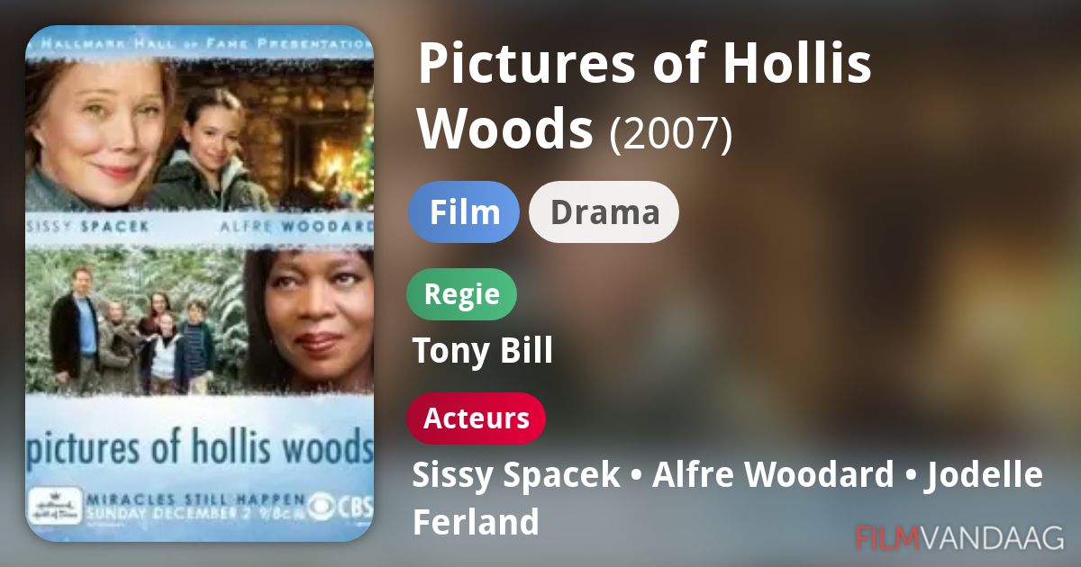 Pictures of Hollis Woods (film, 2007) - FilmVandaag.nl