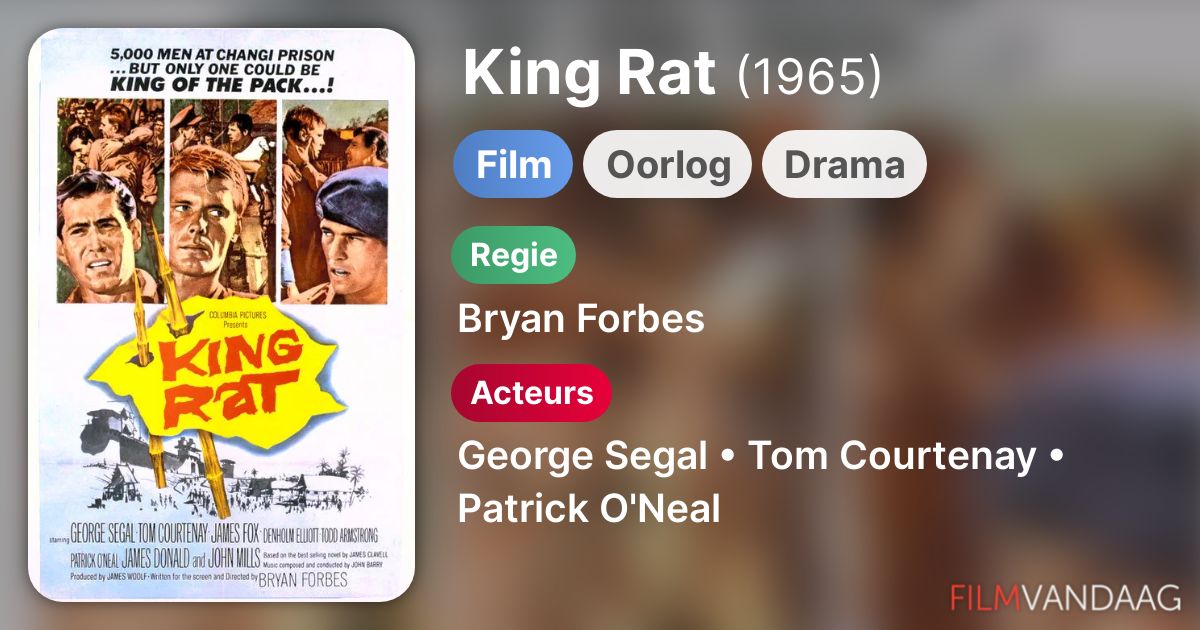 King Rat (film, 1965) kopen op dvd of blu-ray - FilmVandaag.nl