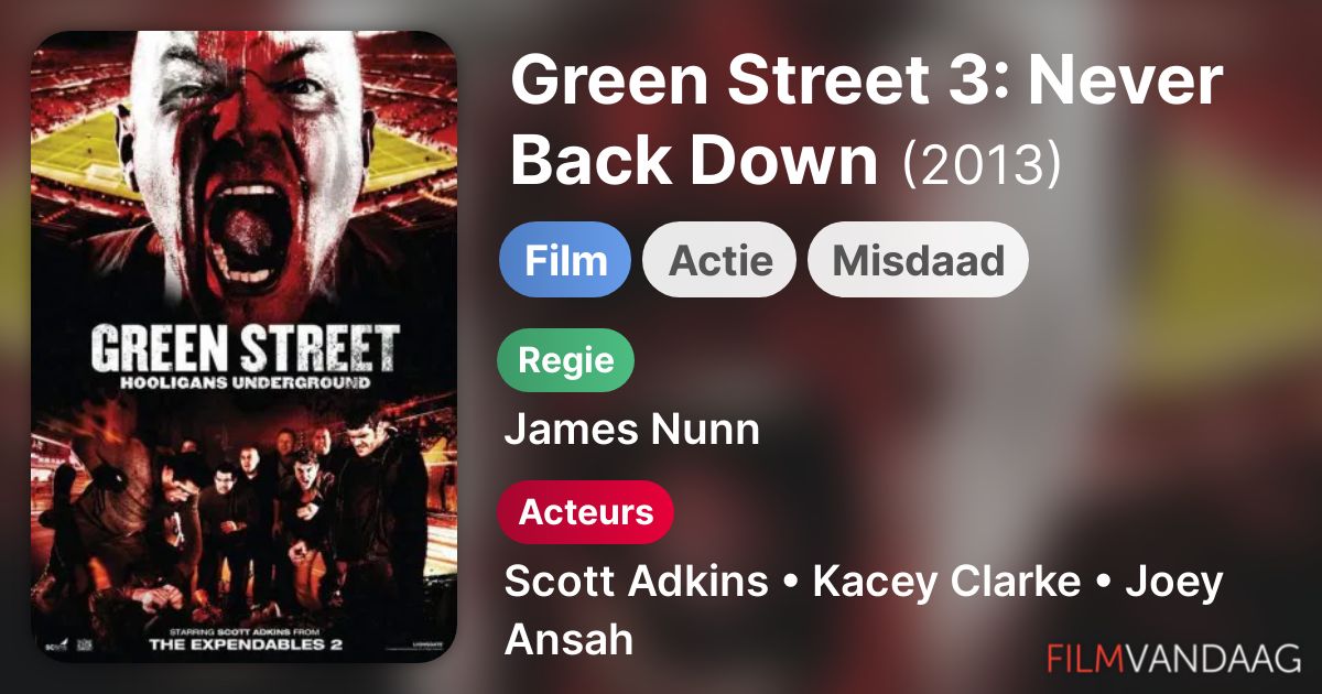 Green Street 3: Never Back Down (film, 2013) - FilmVandaag.nl