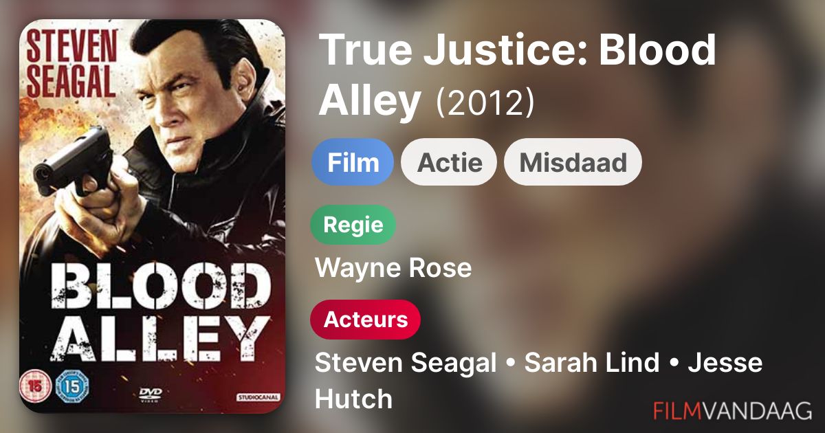 True Justice: Blood Alley (film, 2012) - FilmVandaag.nl