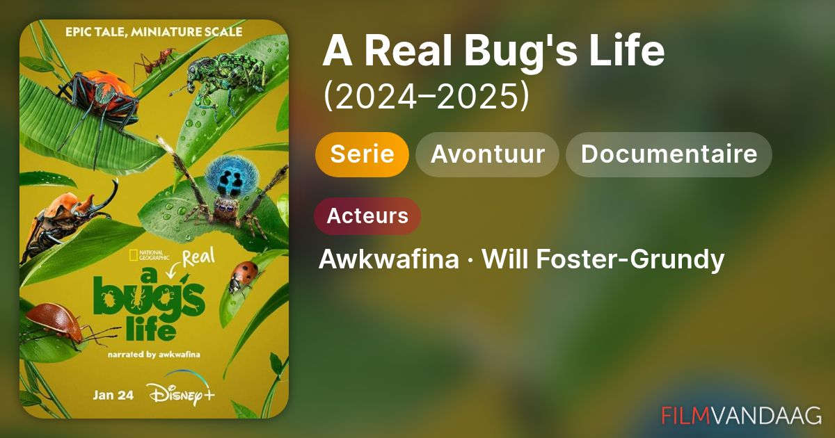 A Real Bug's Life seizoen 3: releasedatum en geruchten nieuw seizoen ...