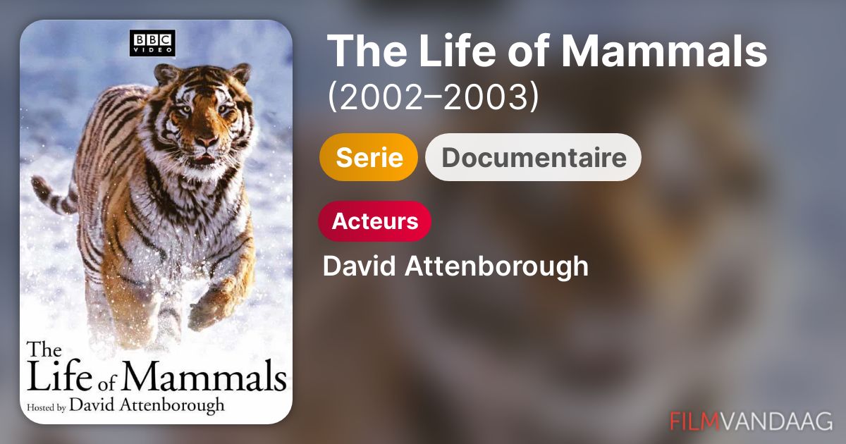 The Life of Mammals (serie, 2002–2003) - FilmVandaag.nl