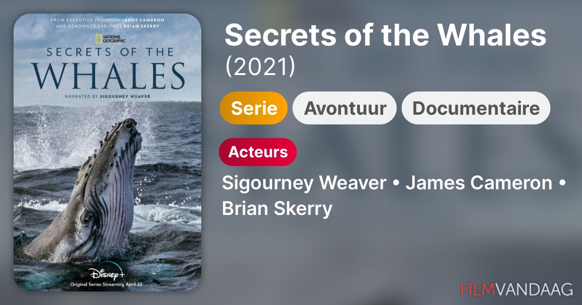 Secrets of the Whales (serie, 2021) - FilmVandaag.nl