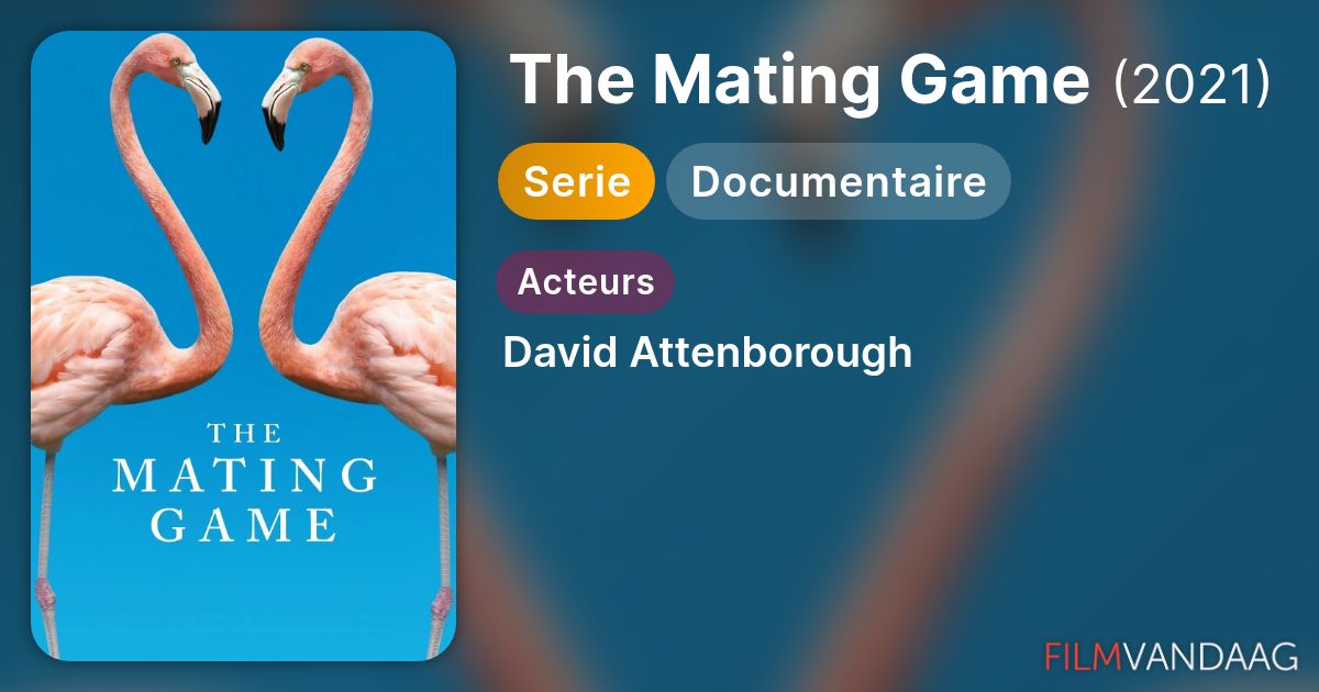 The Mating Game (serie, 2021) - FilmVandaag.nl